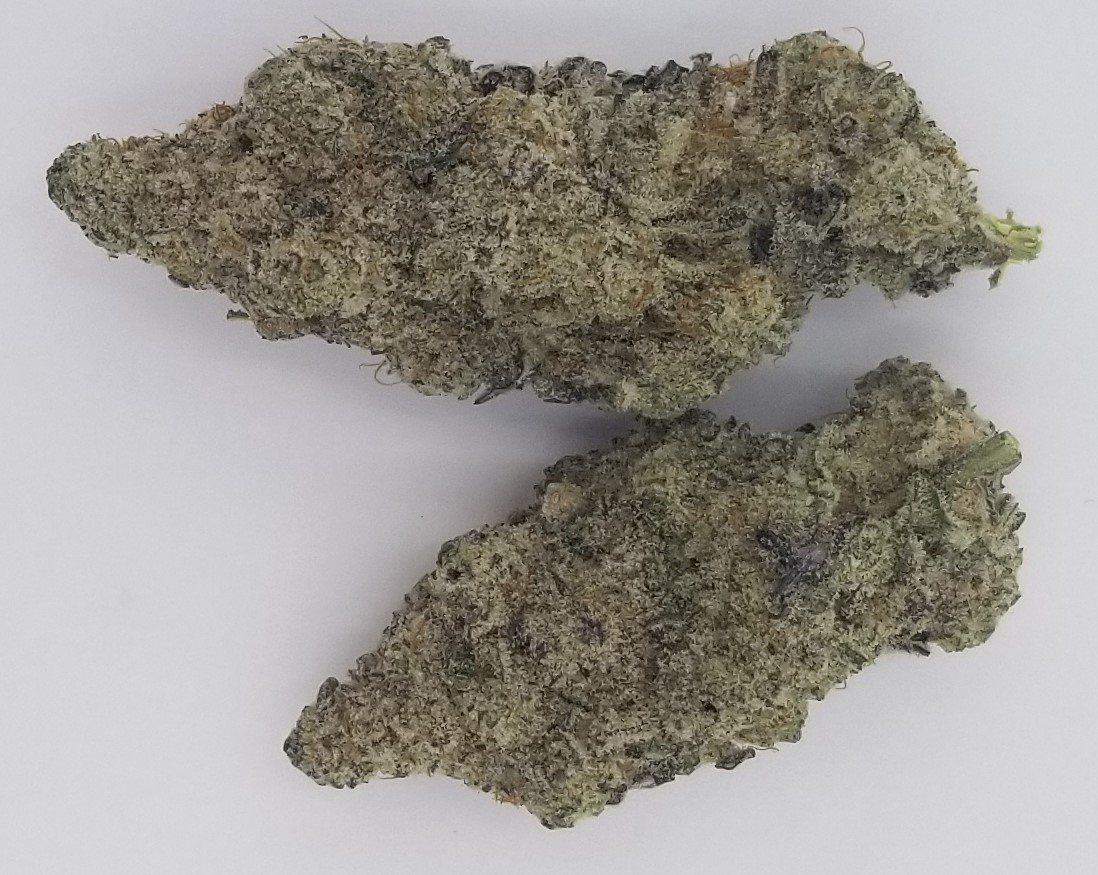 Purple God (Premium Grade) | Holi Concentrates